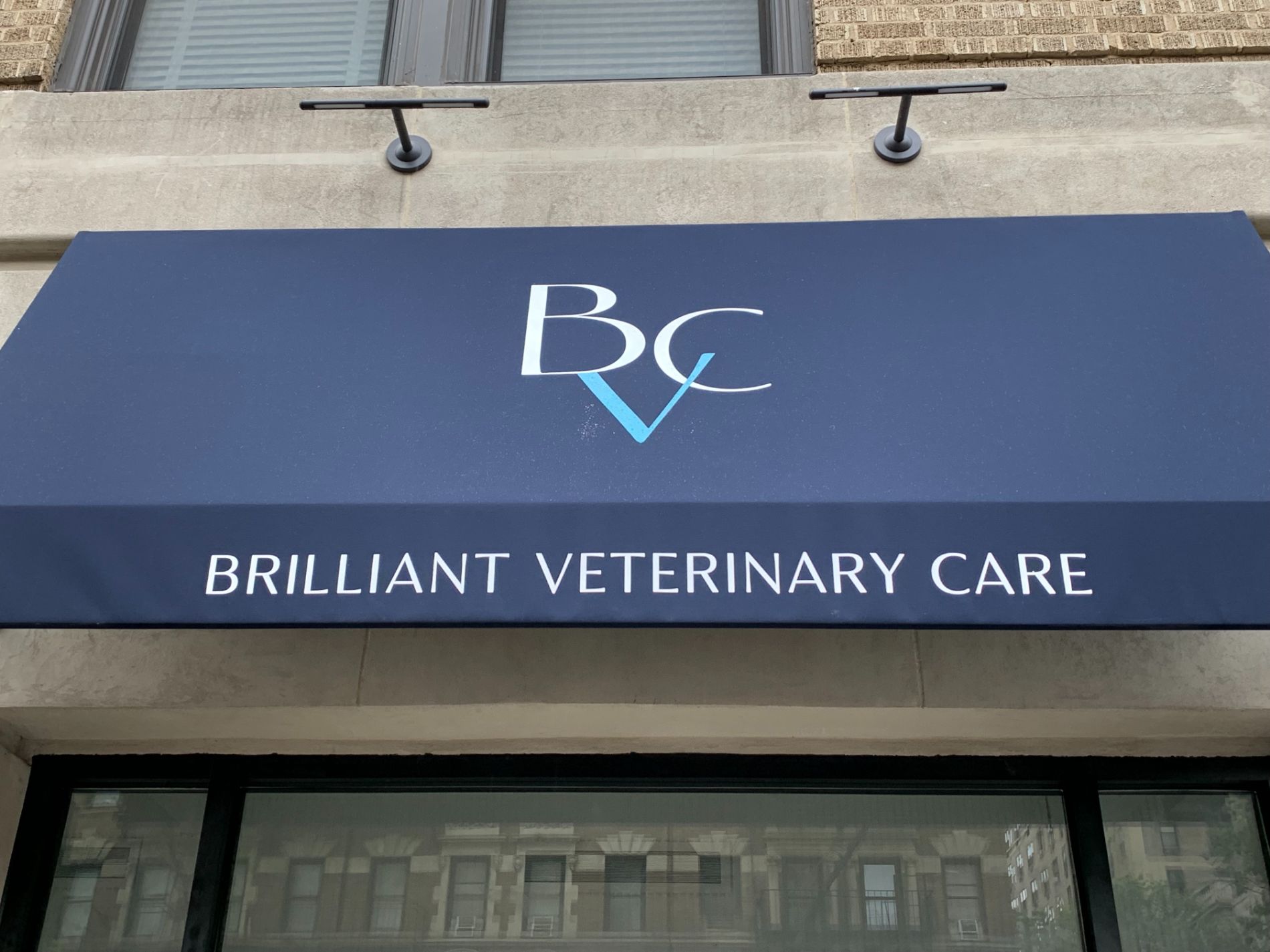 Best Veterinary Hospital on the Upper West Side - Brilliant Veterinary Care